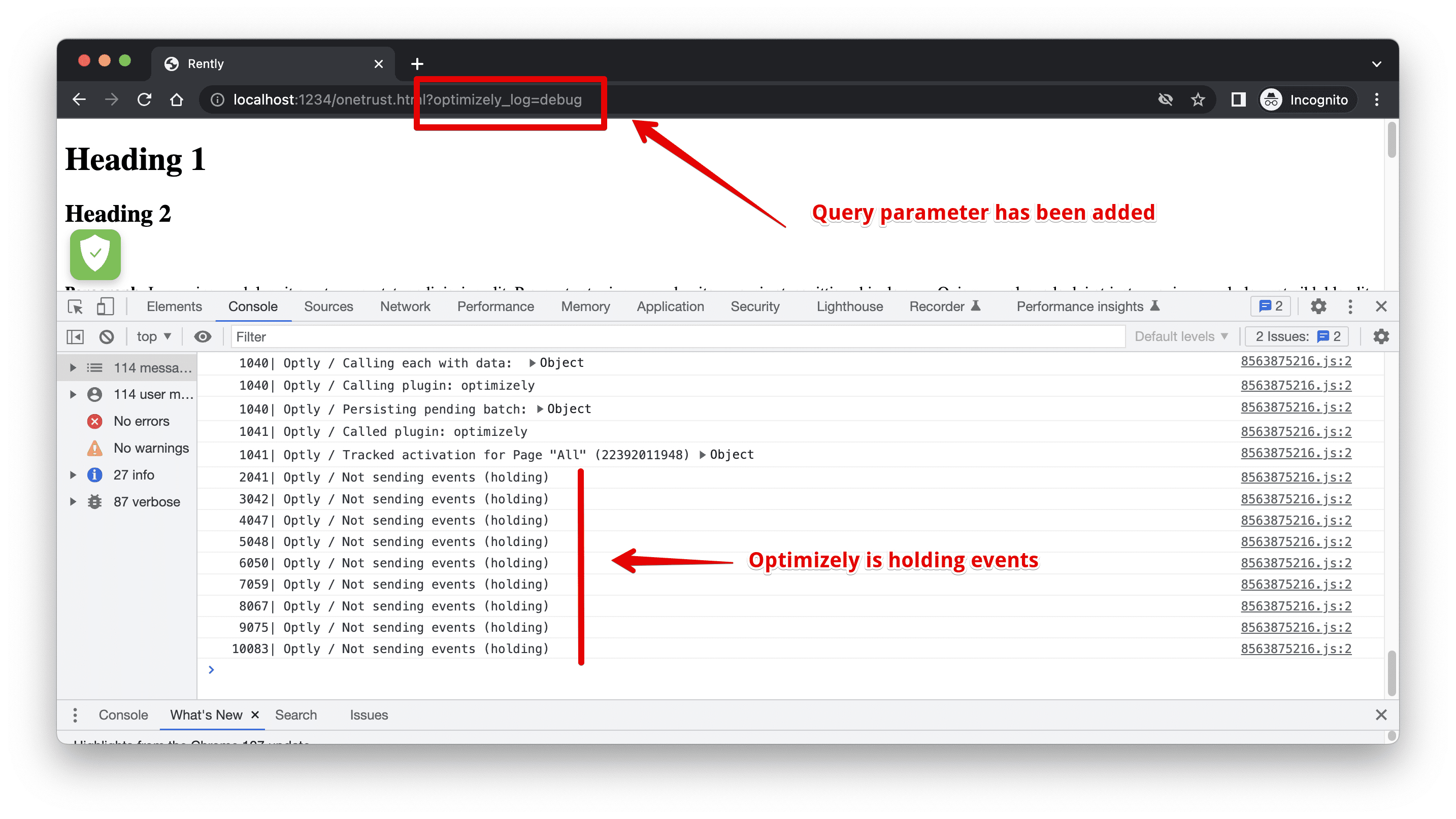 Here's How To Integrate Optimizely Web With OneTrust (2022)